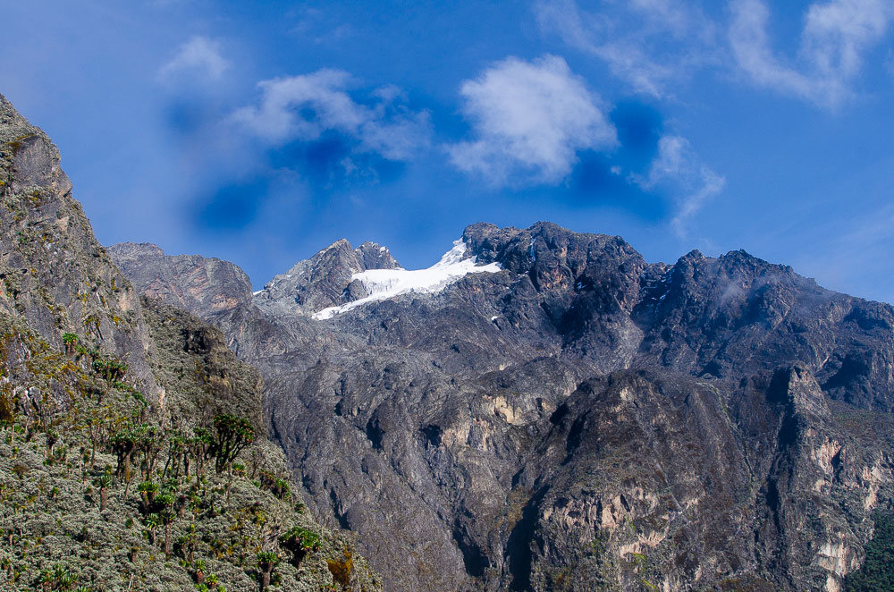 10 Days Mount Rwenzori Climbing and Wildlife Adventure - Journey Smiles ...